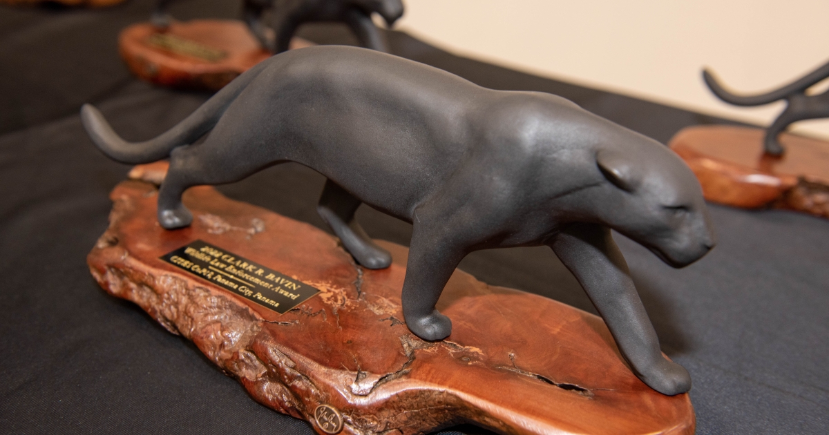 Special agents receive Clark R. Bavin Wildlife Law Enforcement Award ...