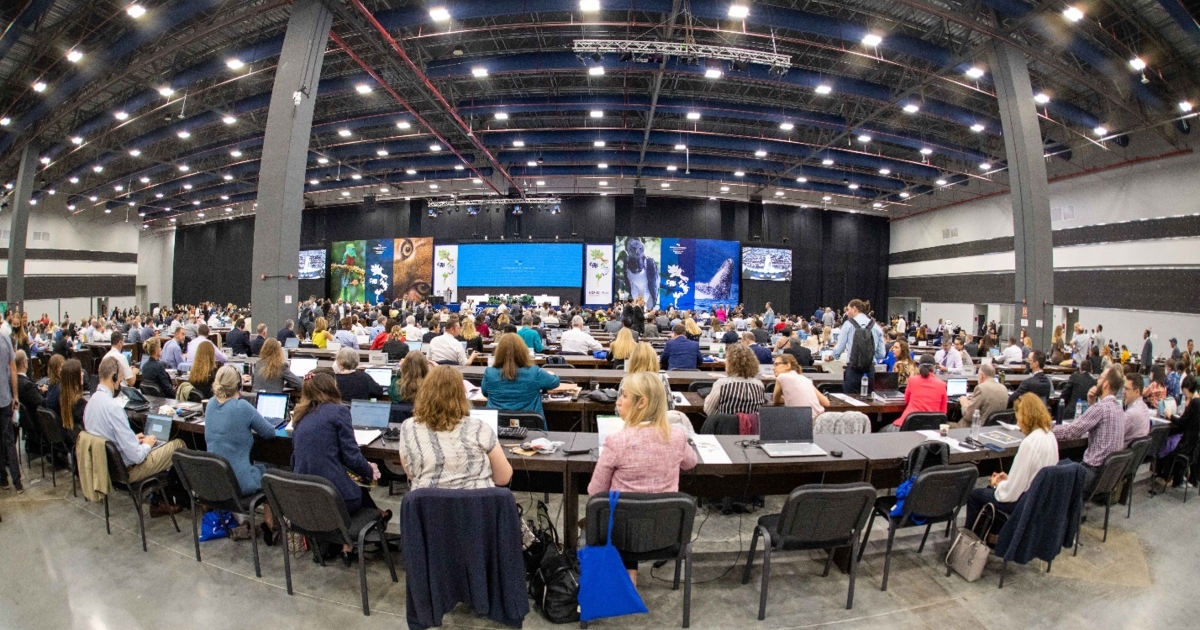 50 Years of Trade and Conservation | U.S. Fish & Wildlife Service