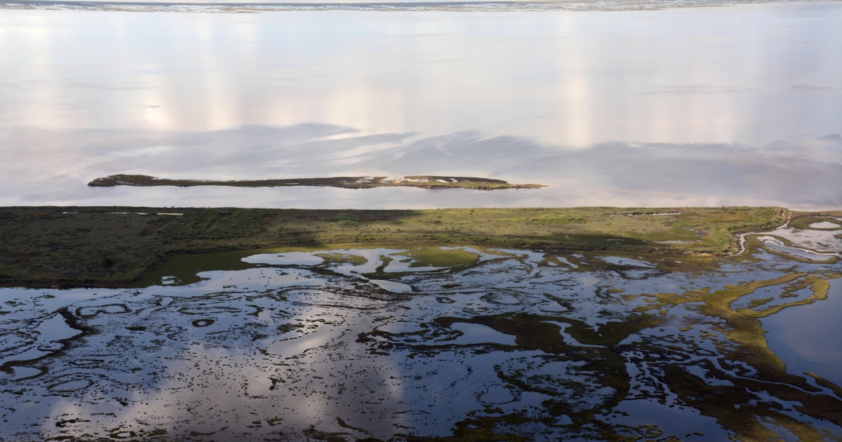 Reviving a Coastal Marsh | U.S. Fish & Wildlife Service