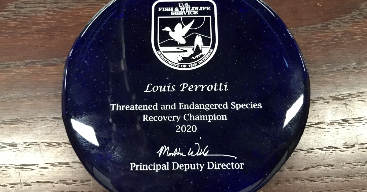Honoring Recovery Champion Lou Perrotti | U.S. Fish & Wildlife Service