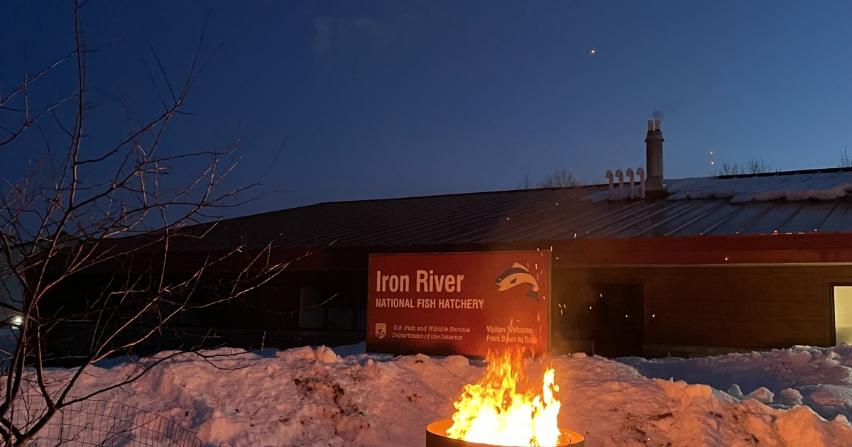 National Fish Hatcheries Provide Diverse Public Use Opportunities | U.S ...