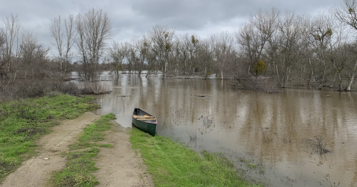 103 Riparian Brush Rabbits Rescued From Winter Flooding | U.S. Fish ...