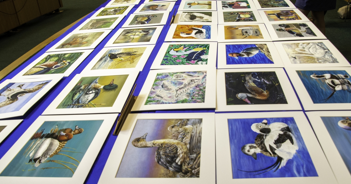 Junior Duck Stamp | U.S. Fish & Wildlife Service