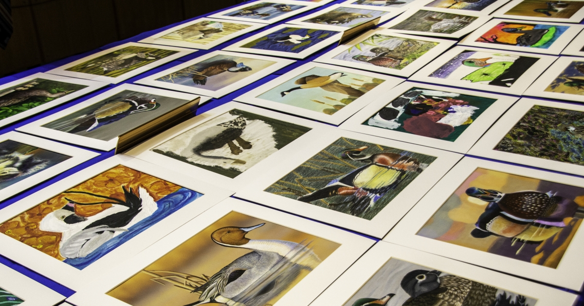 Junior Duck Stamp artist shares journey, encourages other young artists ...