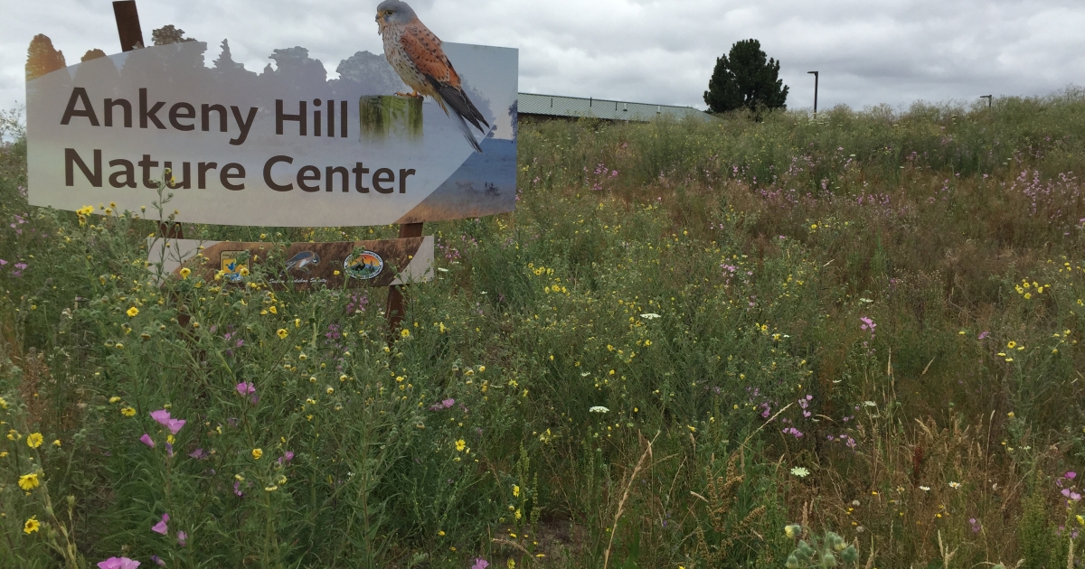 Motus: Revolutionizing Data Collection, One Bird at a Time | U.S. Fish ...