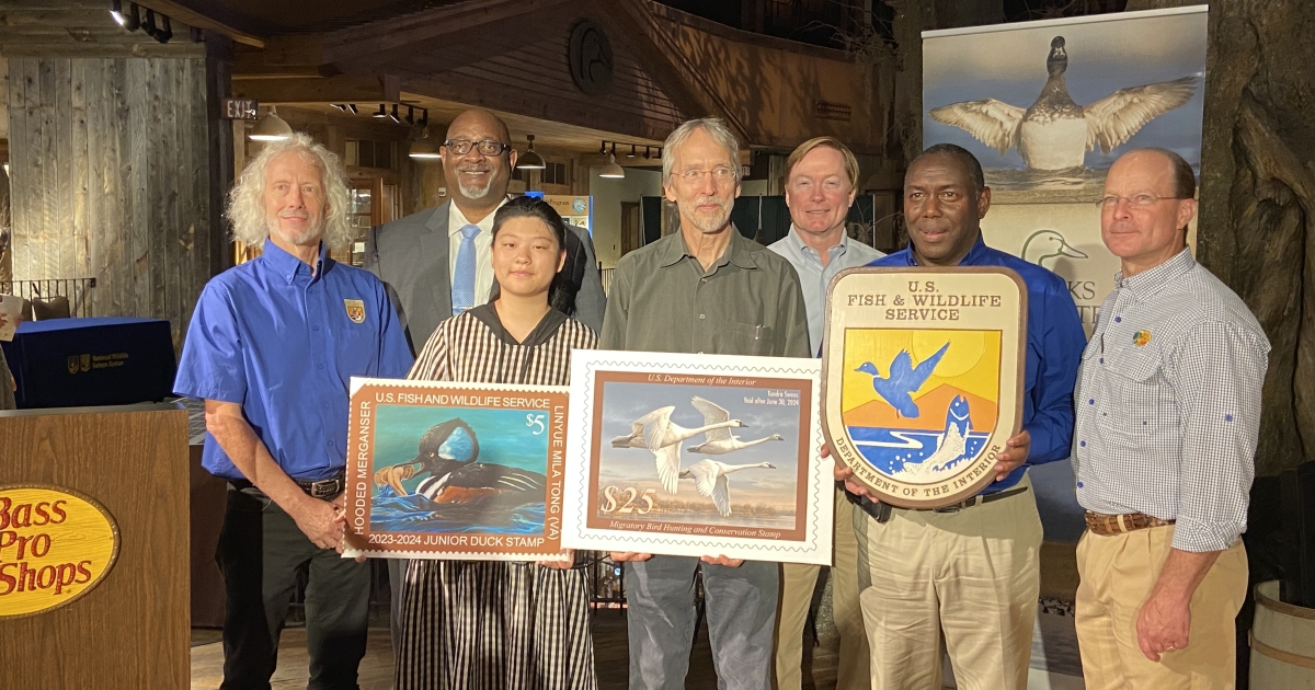 Service Debuts New Federal and Junior Duck Stamps | U.S. Fish ...