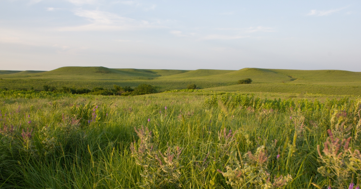 A Coordinated Approach for Grassland Conservation | U.S. Fish ...