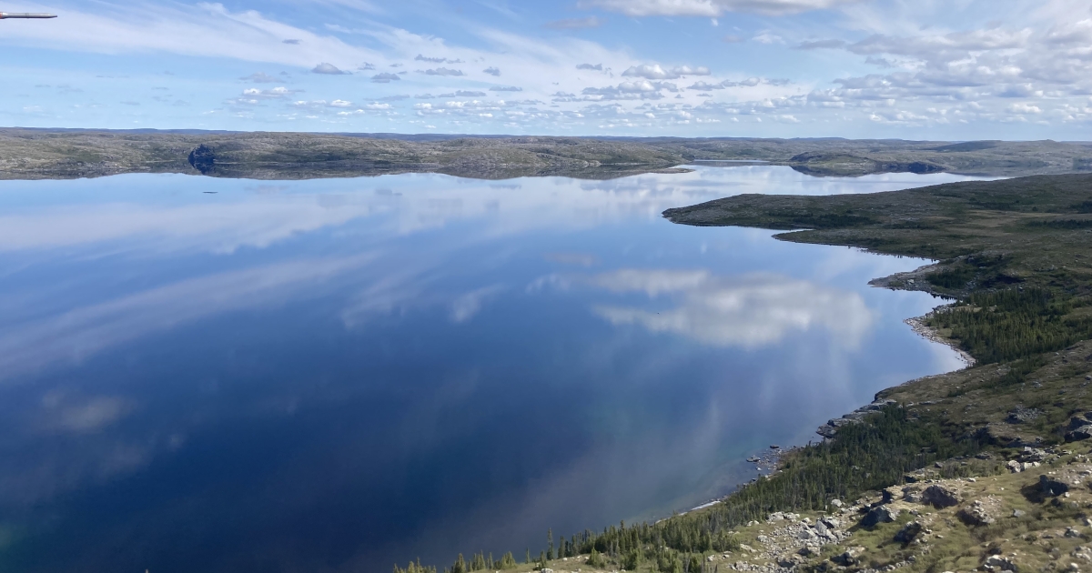 2023 Survey for the Atlantic Population of Canada Geese | U.S. Fish ...