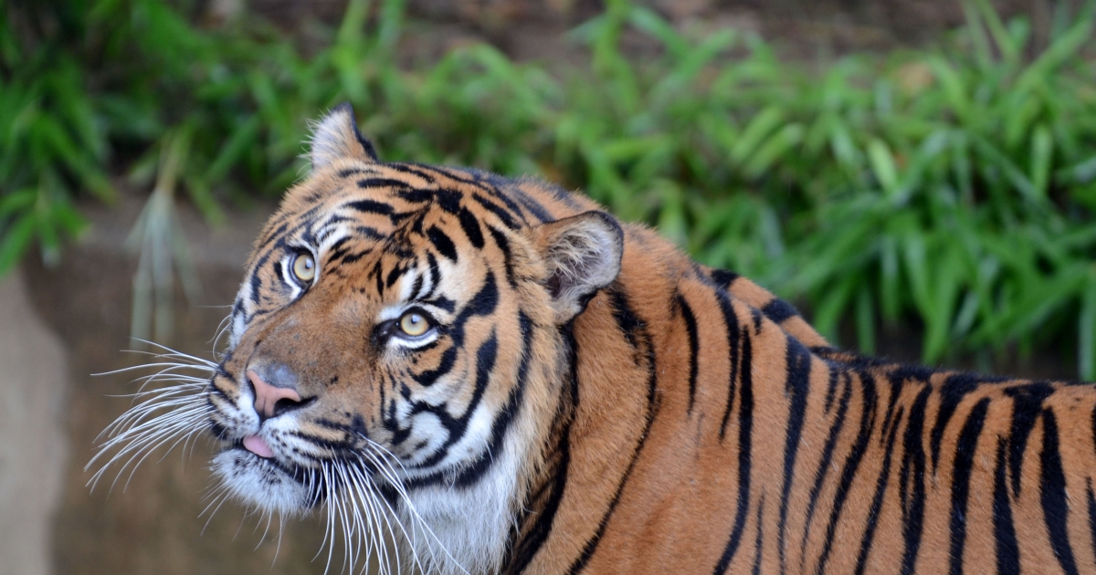 Law Enforcement | U.S. Fish & Wildlife Service