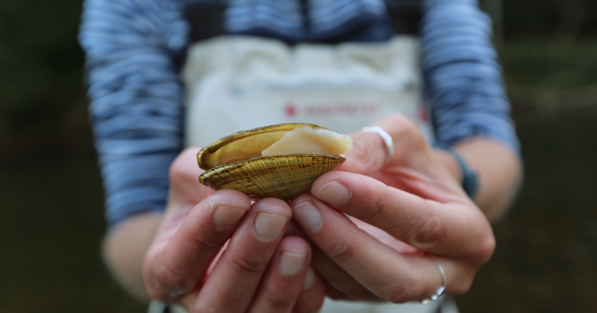 Curious critters and why we care | U.S. Fish & Wildlife Service