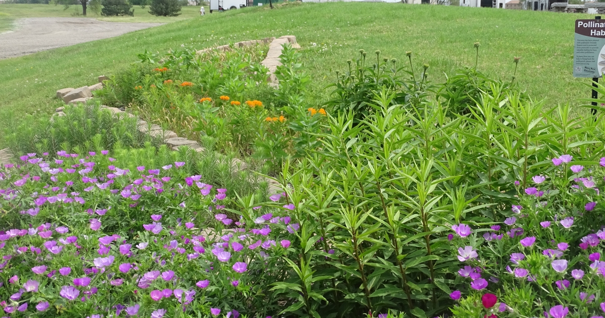 Using integrated pest management for pollinators | U.S. Fish & Wildlife ...