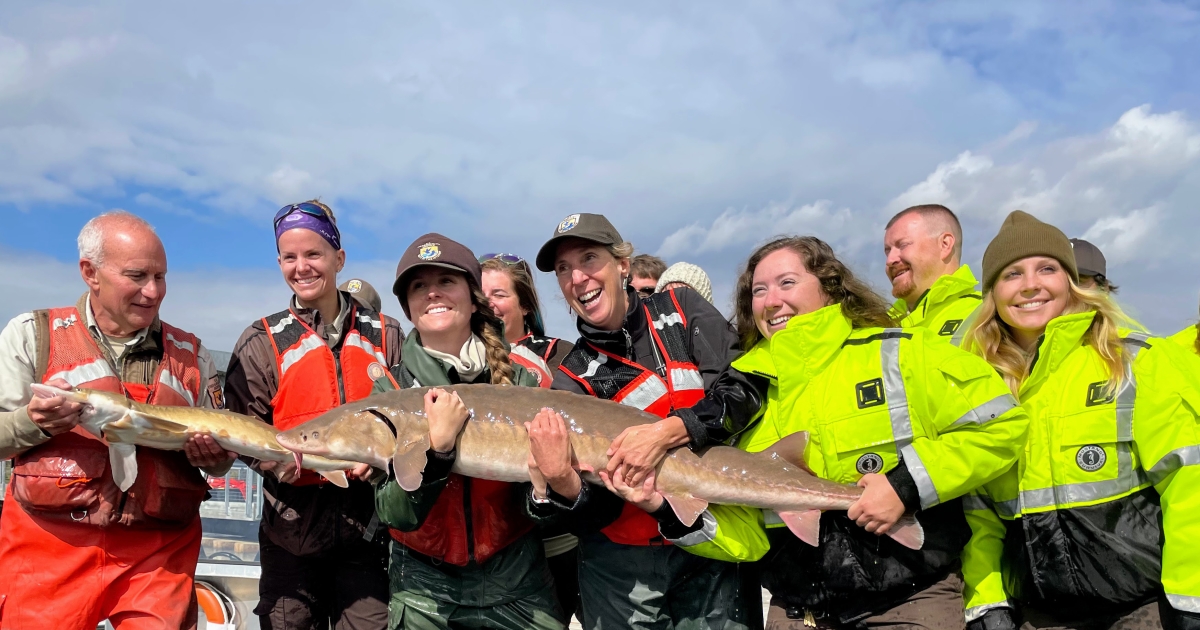 Marking 50 years of conservation successes in Michigan | U.S. Fish ...
