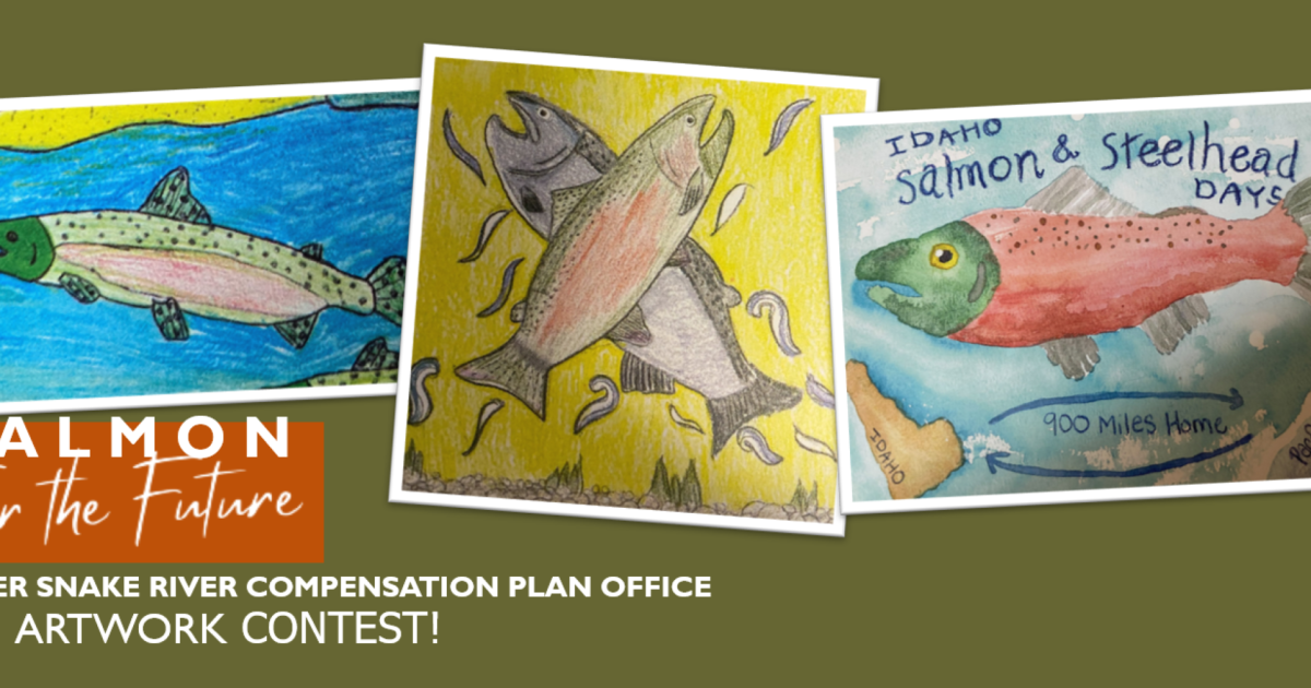 K-12 Art Contest! | U.S. Fish & Wildlife Service