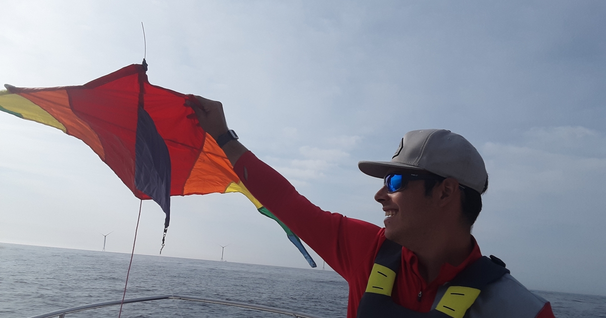 Wind farm beneath their wings | U.S. Fish & Wildlife Service