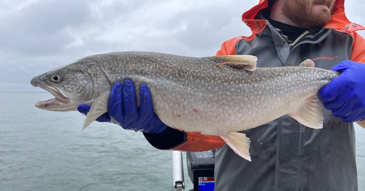 Where the wild trout are | U.S. Fish & Wildlife Service