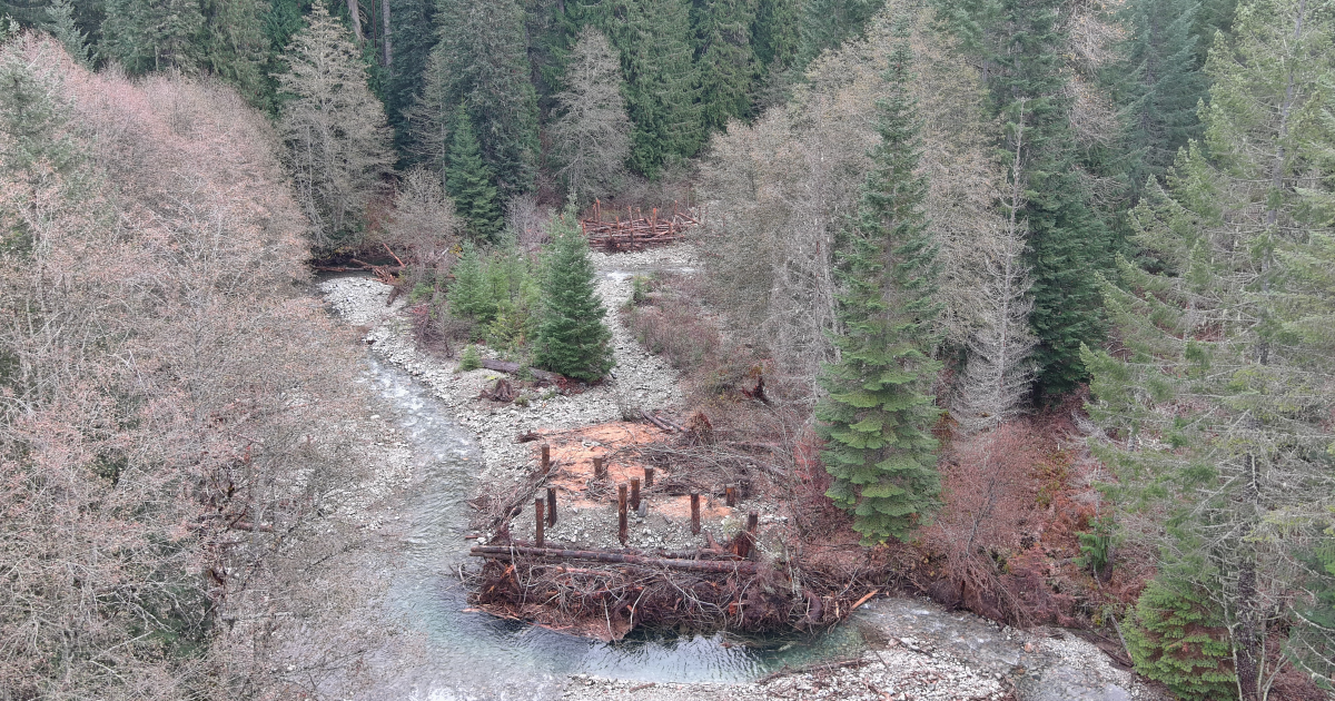 Upper Kachess River Restoration for Bull Trout | U.S. Fish & Wildlife ...