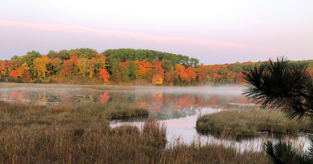 Emergency closure of early teal hunt on Area C Hunt Unit at Tamarac ...