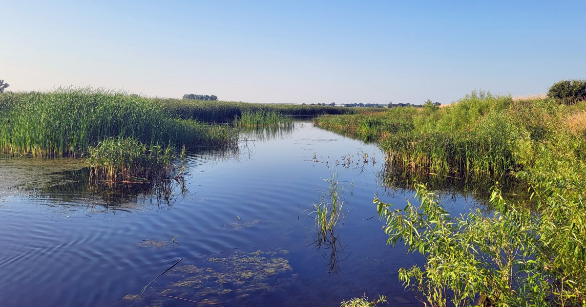 Working with our state partners in Iowa | U.S. Fish & Wildlife Service