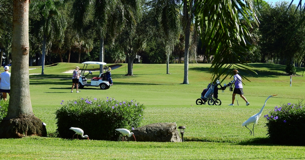 Bird-Friendly Golf Courses | U.S. Fish & Wildlife Service