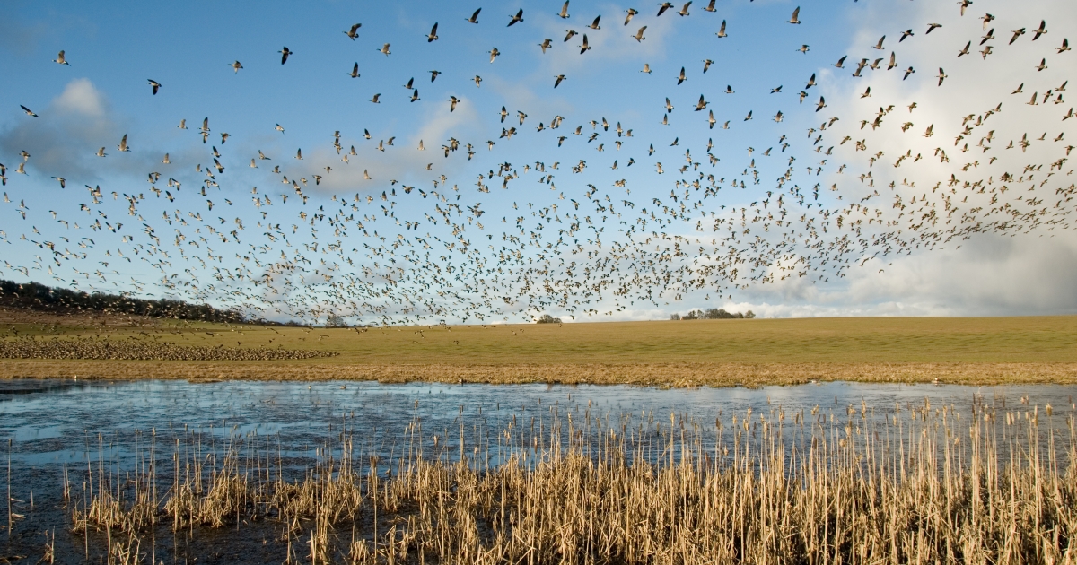 Interior Establishes Willamette Valley Conservation Area in Oregon | U ...