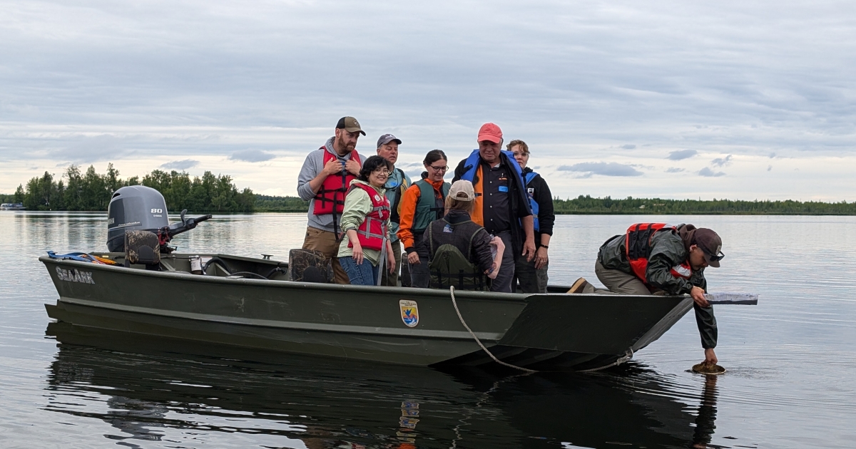 Almost $3 Million to Eradicate Invasive Species, as Part of Investing ...