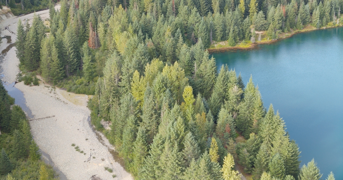 $5 Million in BIL Funding Set to Transform Habitat for Bull Trout in ...