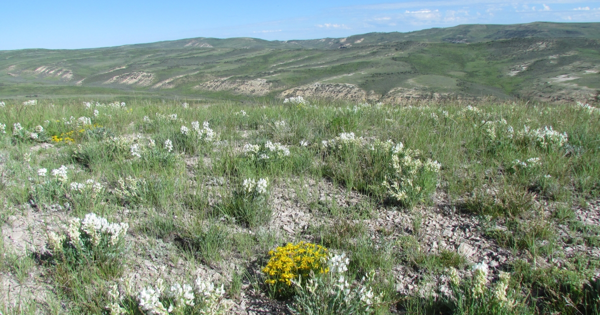 Office of Communications – Mountain-Prairie Region | U.S. Fish ...