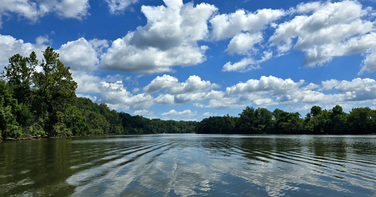 Midwest mussel experts leading an emergent field | U.S. Fish & Wildlife ...