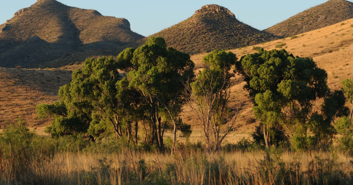 Strategic Upland Conservation Easements for Watershed Connectivity | U.S. Fish & Wildlife Service
