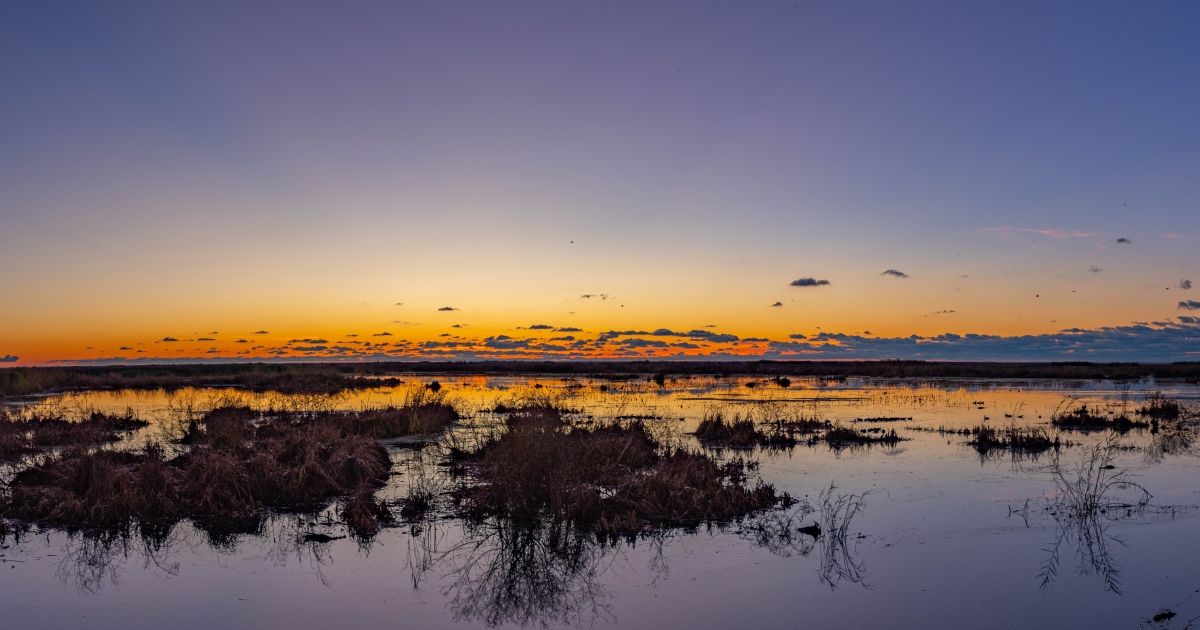 Remembering Jocelyn Nungaray | U.S. Fish & Wildlife Service