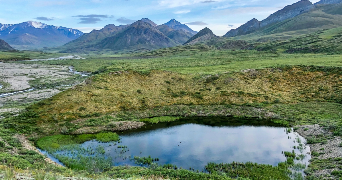 Wilderness | U.S. Fish & Wildlife Service