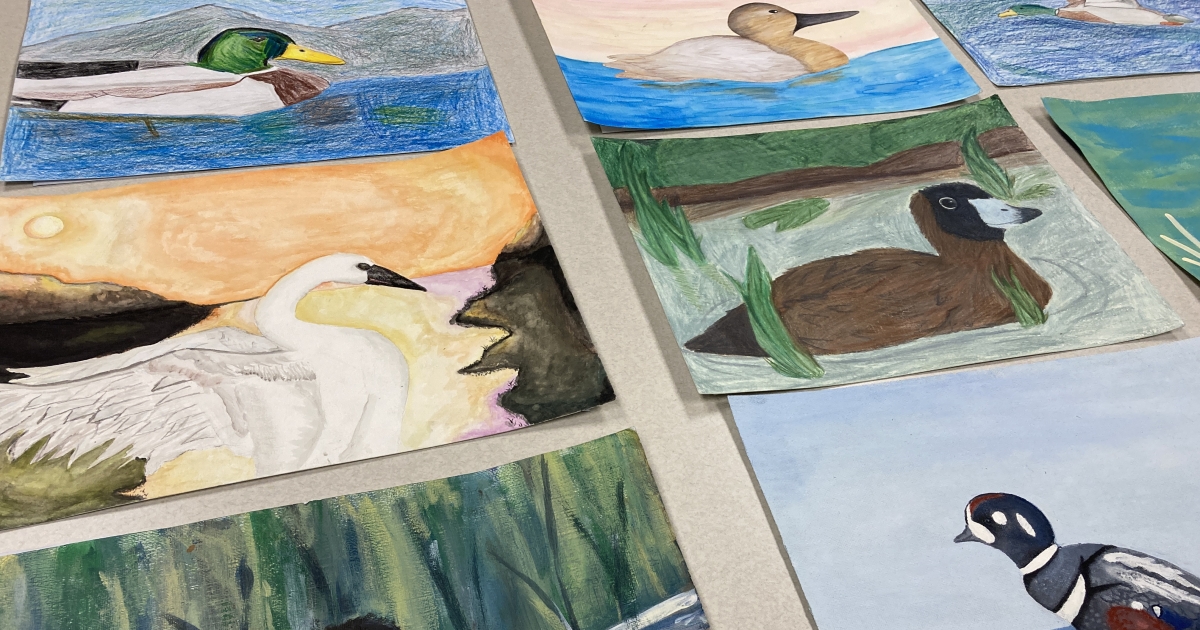 2025 North Carolina Junior Duck Stamp Contest Results | U.S. Fish ...