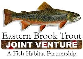 Eastern Brook Trout Joint Venture | U.S. Fish & Wildlife Service