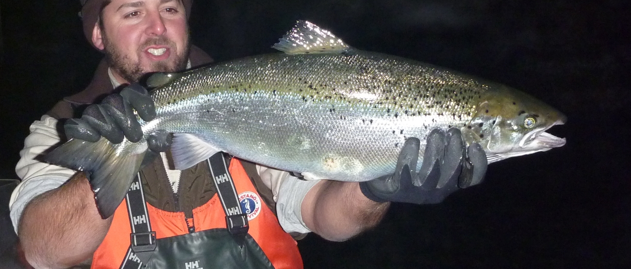 LCFWCO_Salmon_Smith.JPG | FWS.gov