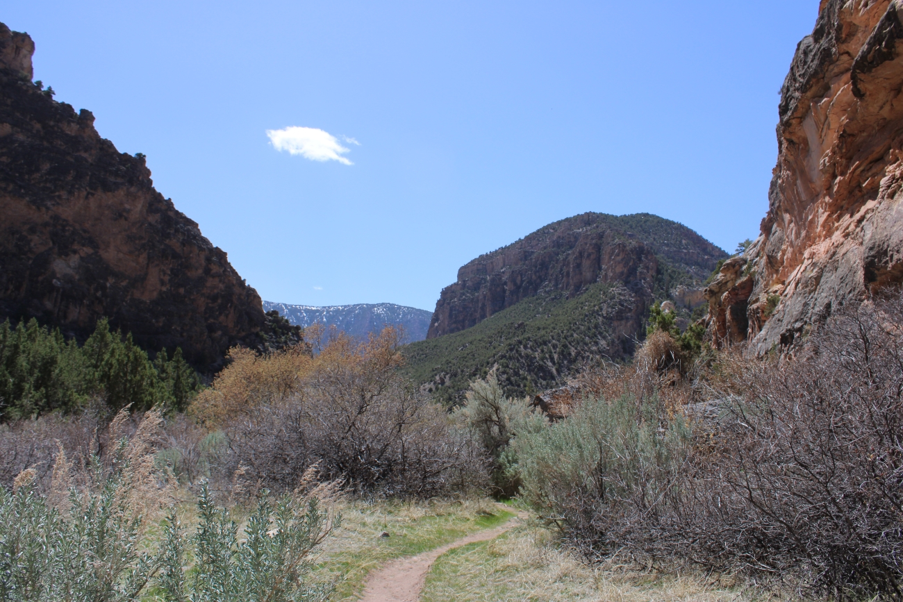 Jones Hole Trail.JPG | FWS.gov