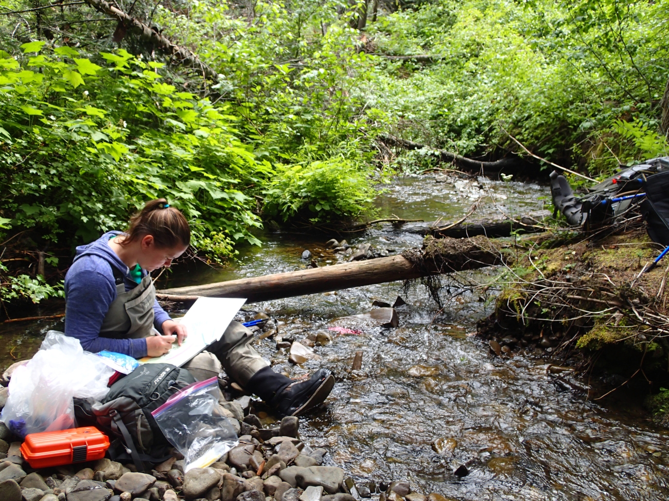 Collecting data in the field | FWS.gov