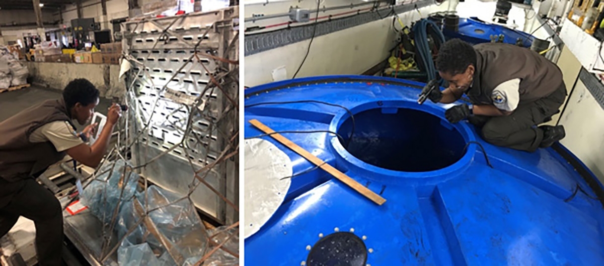 Inspector Sims in action | FWS.gov