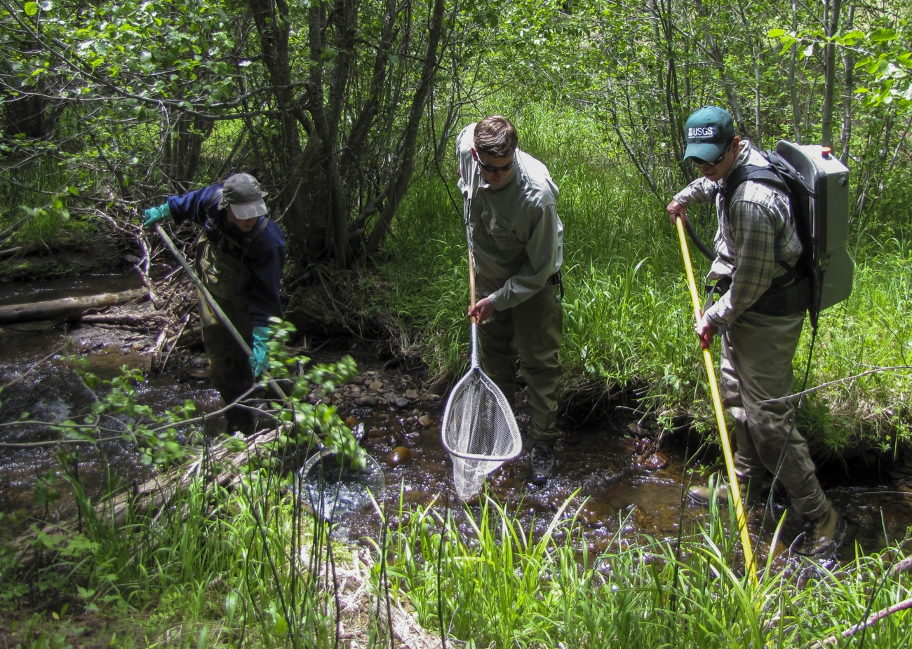 Creek Sampling | FWS.gov