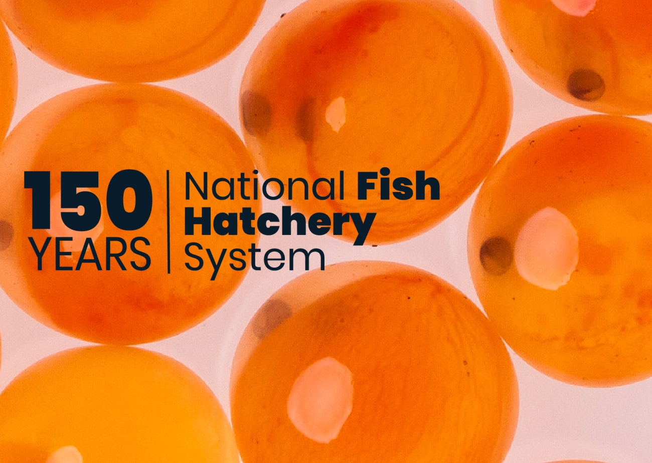 National Fish Hatchery System | FWS.gov