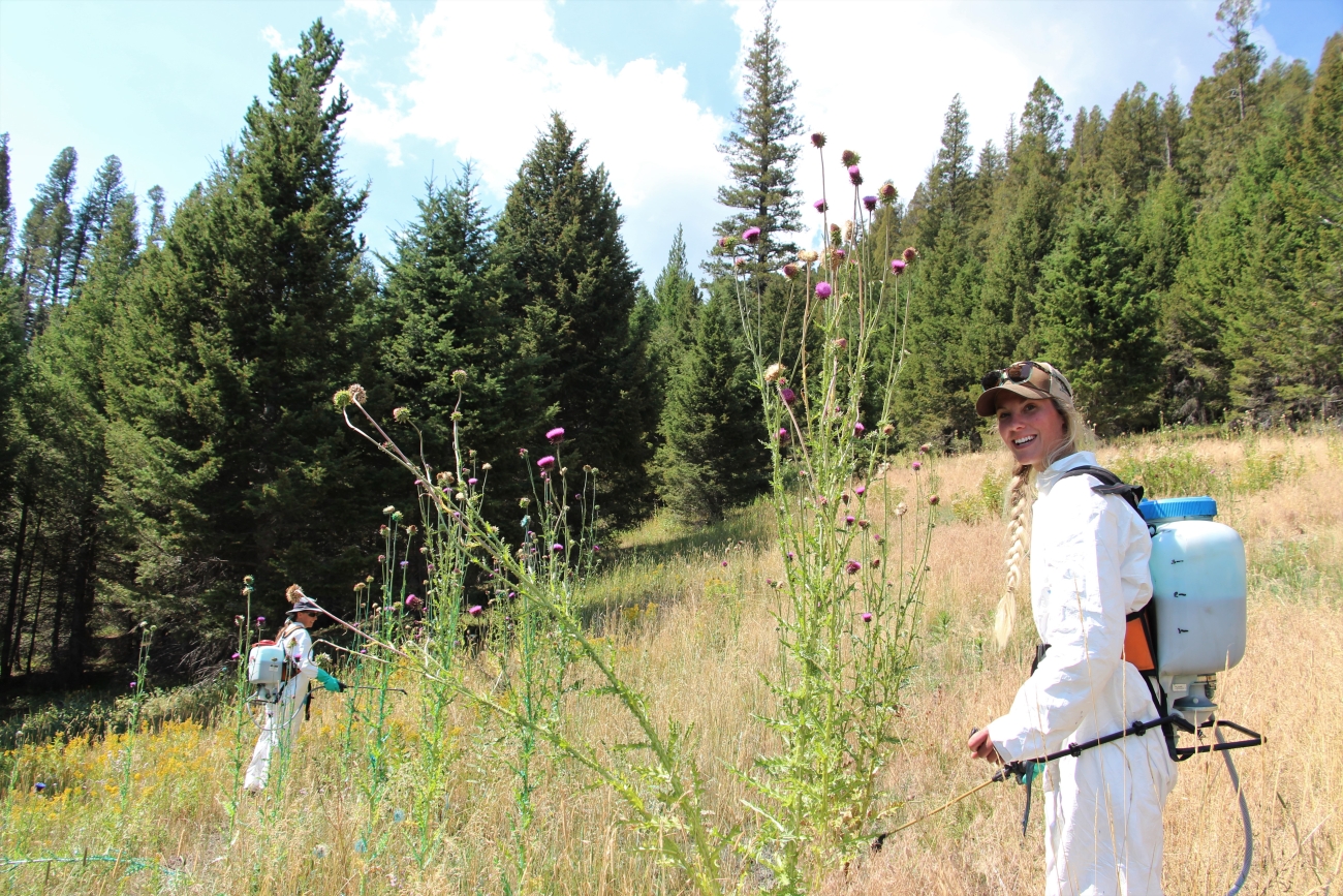 Invasive Plant Removal | FWS.gov