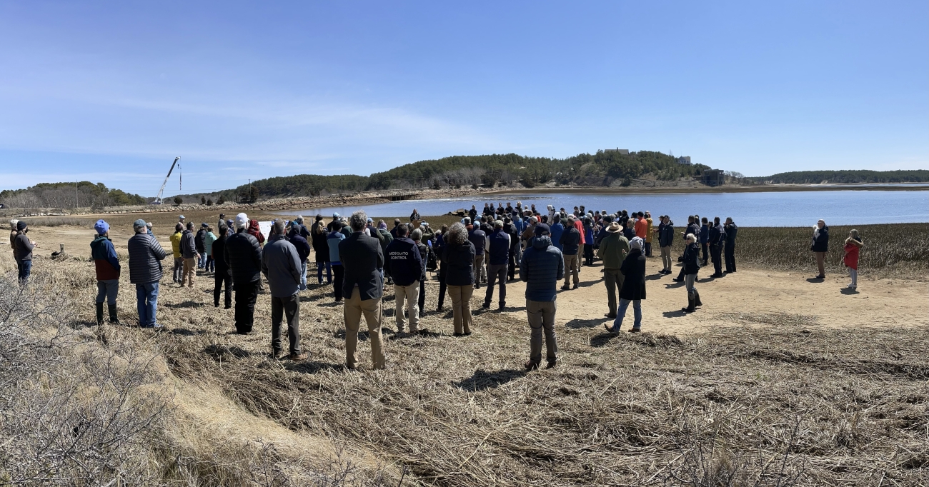 Crowd at Herring River groundbreaking event | FWS.gov