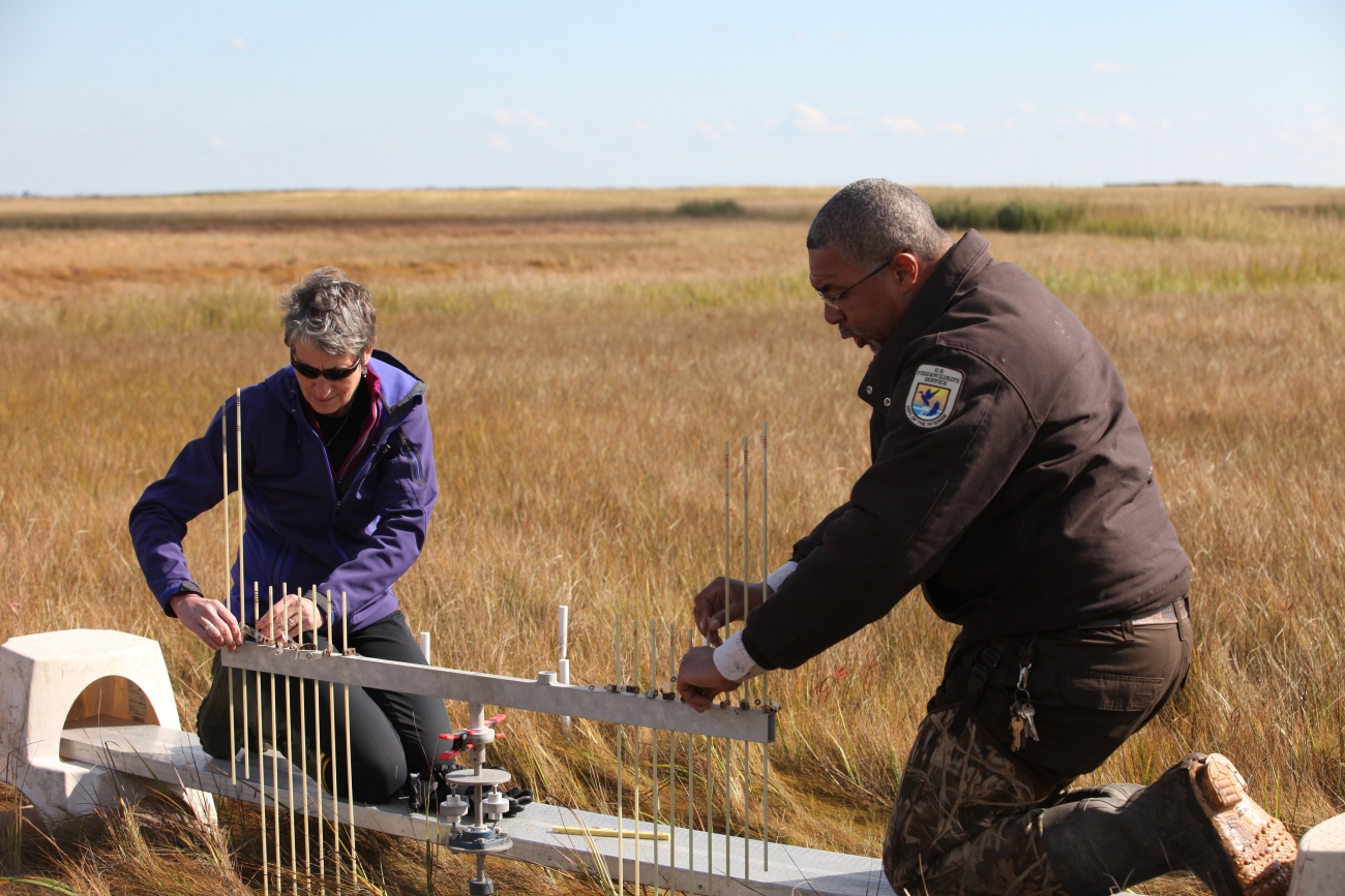 Surface elevation data collection | FWS.gov