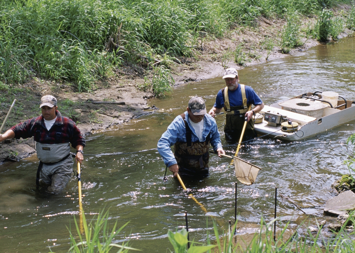 Fisheries | FWS.gov