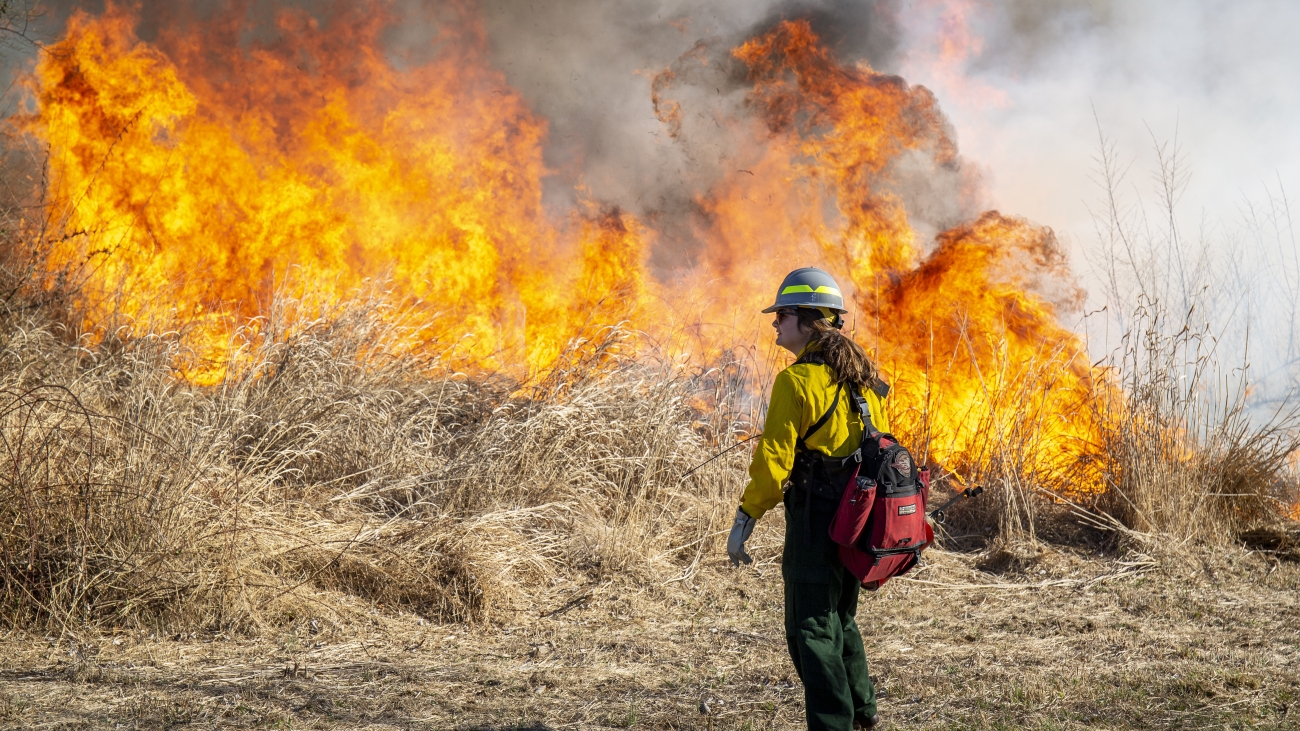 Wildland Firefighters | FWS.gov