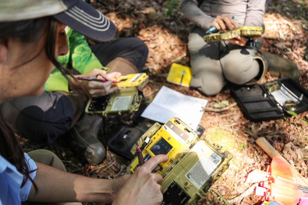 Reviewing settings on acoustic bat detectors | FWS.gov