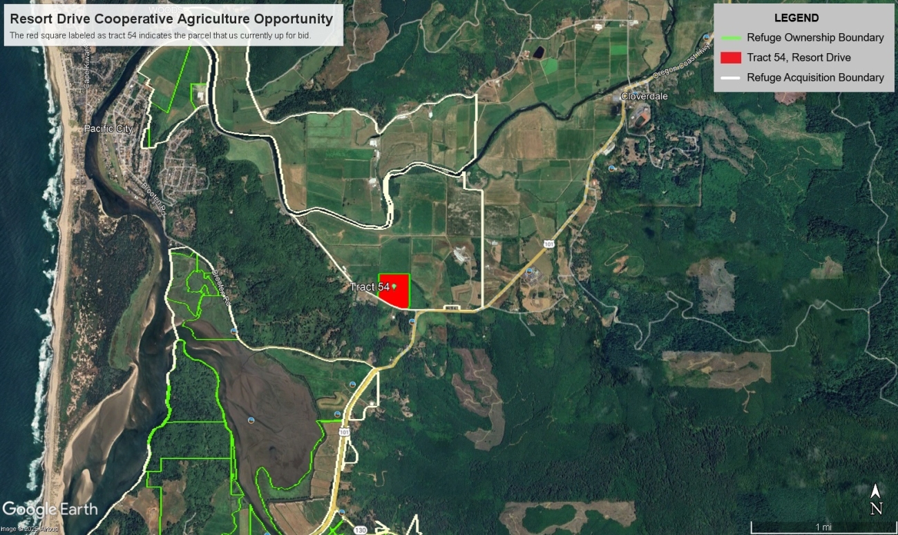 Resort Drive Map at Nestucca Bay | FWS.gov