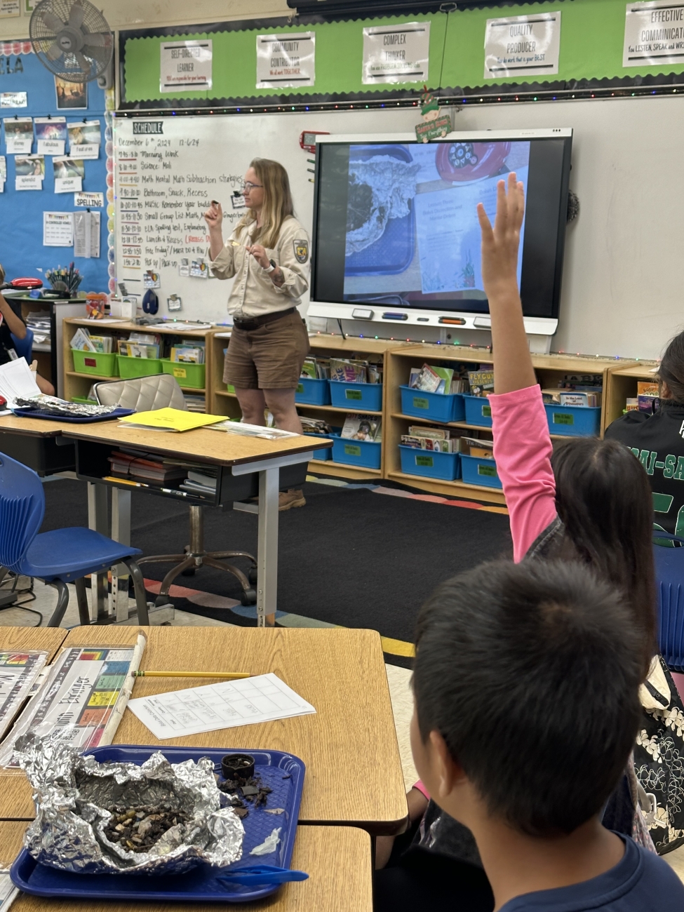 Classroom Laysan albatross bolus disection | FWS.gov