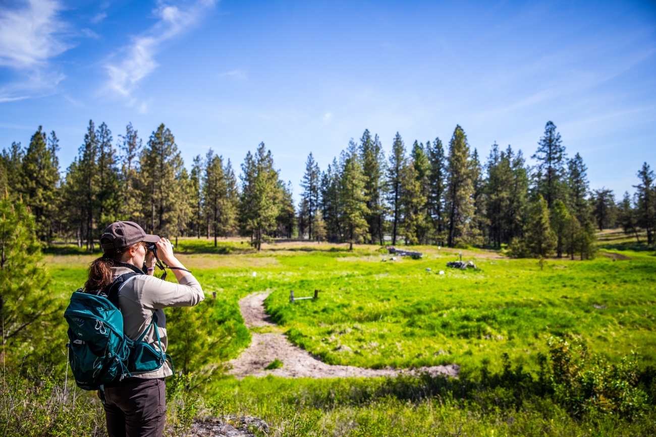 Turnbull NWR - Waterfowl Surveys | FWS.gov