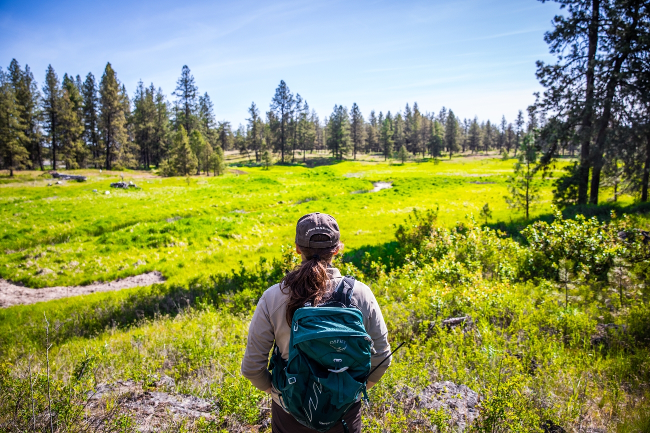 Turnbull NWR - Waterfowl Surveys | FWS.gov