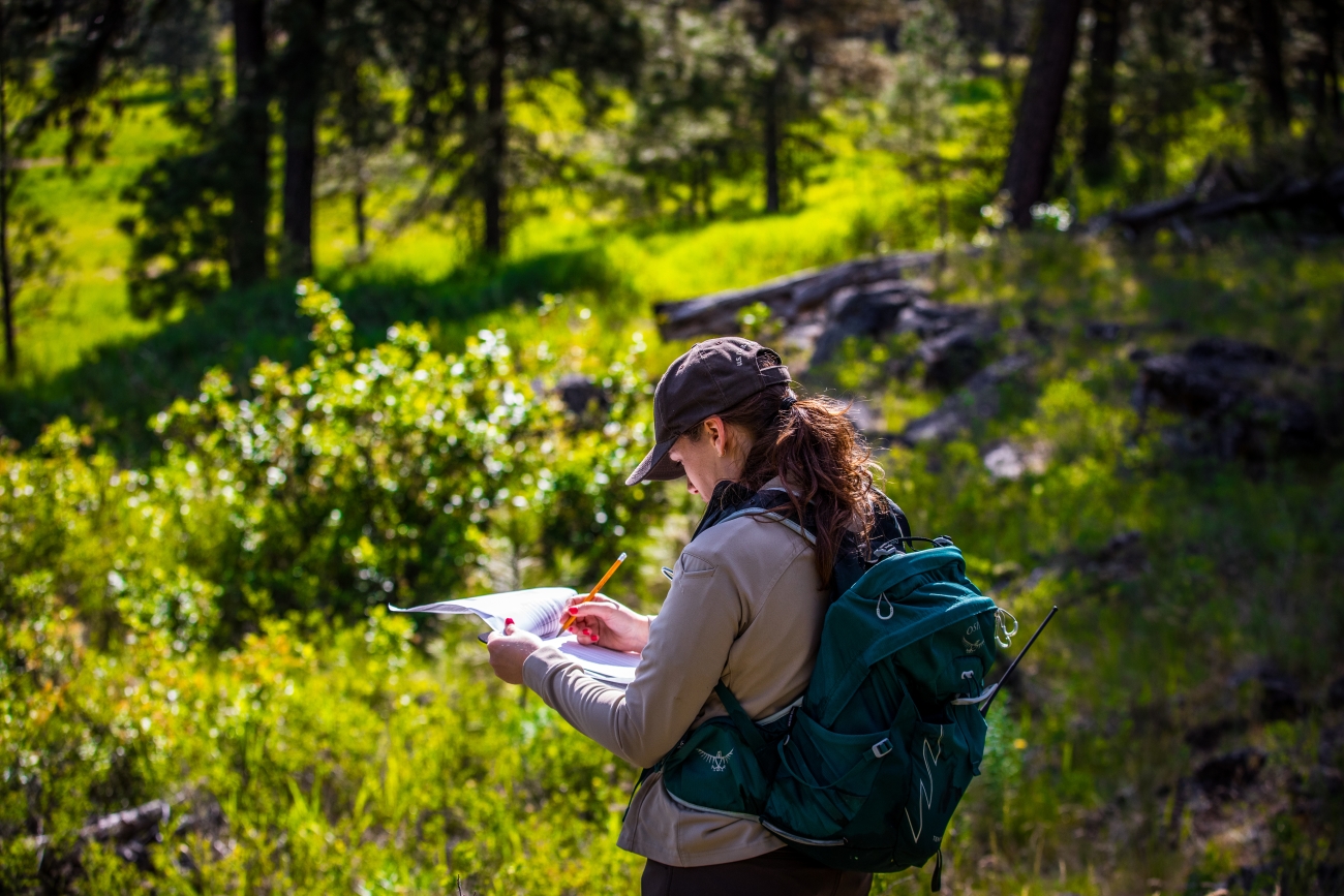 Turnbull NWR - Waterfowl Surveys | FWS.gov